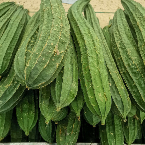10Pcs Luffa Seeds – Passion For Plantation