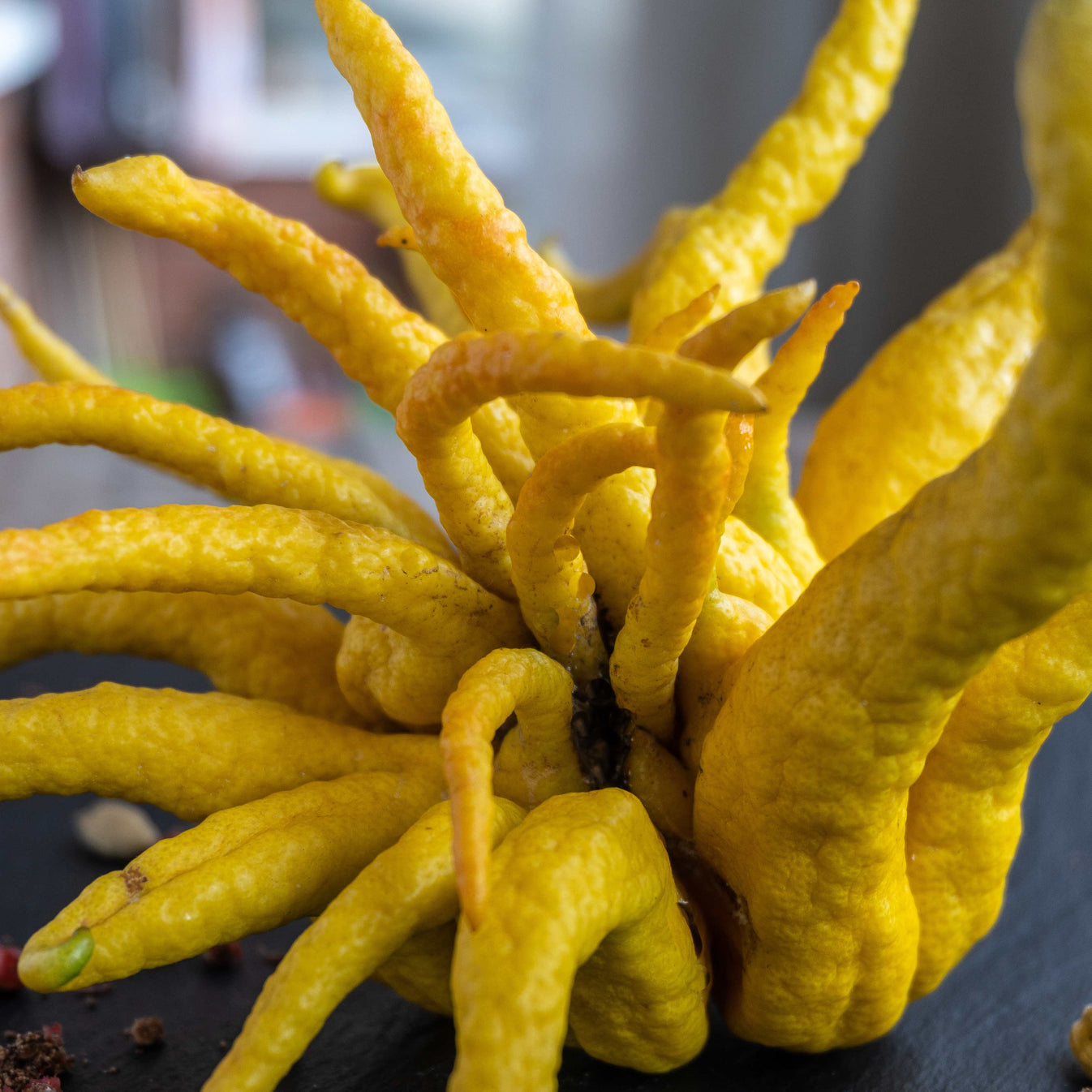 50Pcs Buddha's Hand Plant Seeds – Passion For Plantation